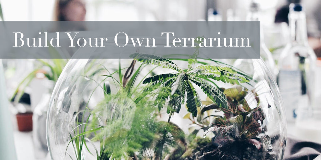 Build your own terrarium – Nook and Cranny