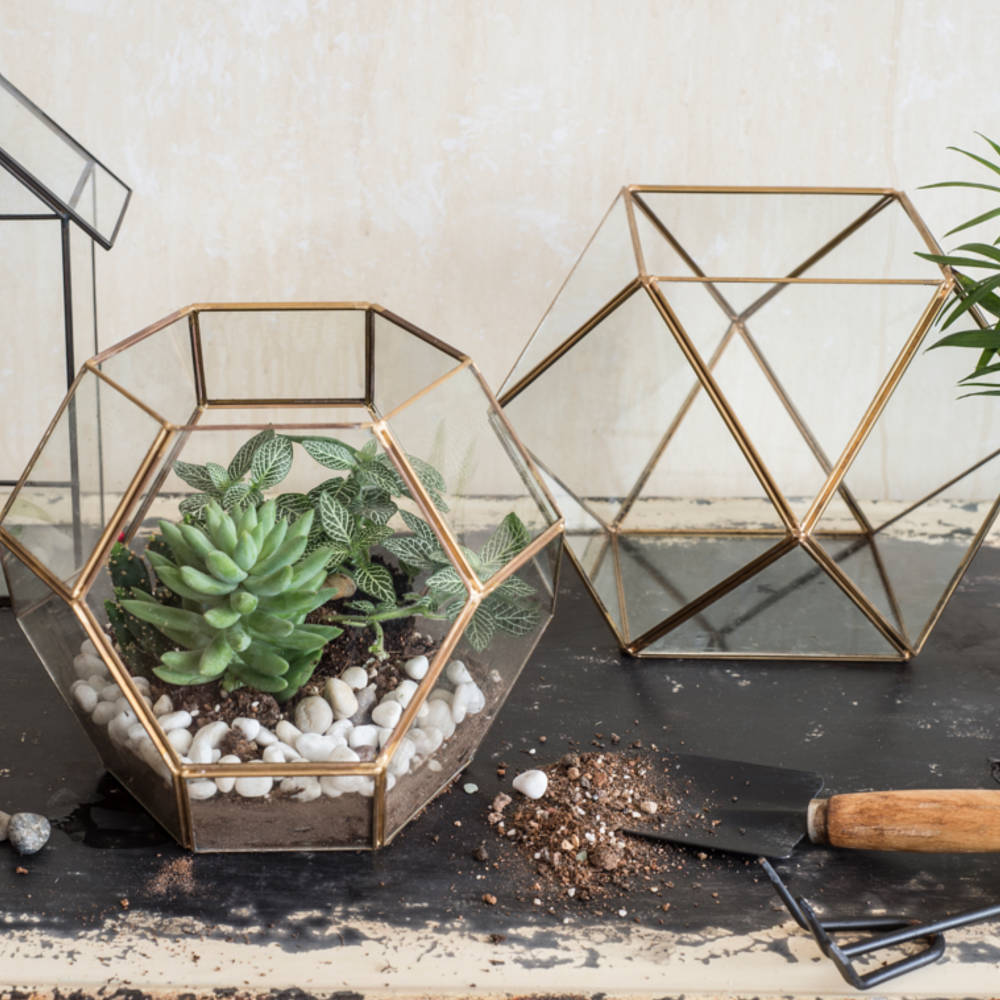 Gold Terrarium – Nook and Cranny